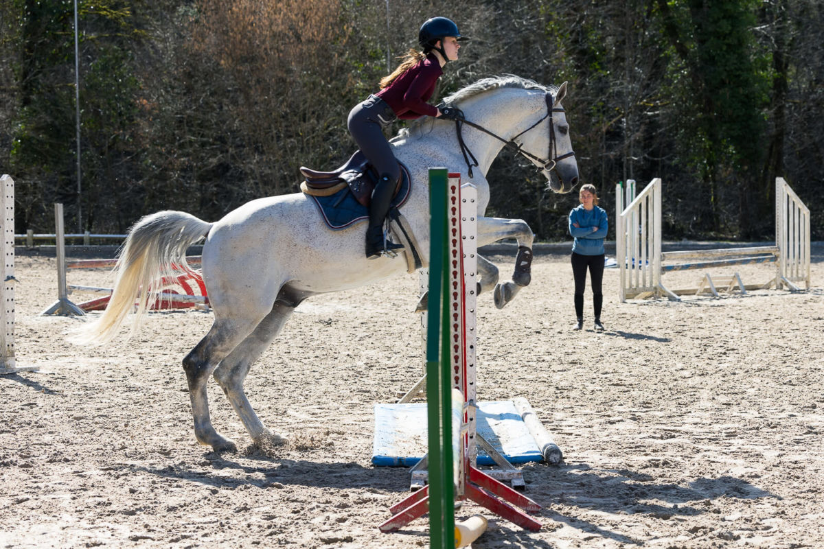 Demi-pension | Équitation Genève | Tout ce que vous devez savoir